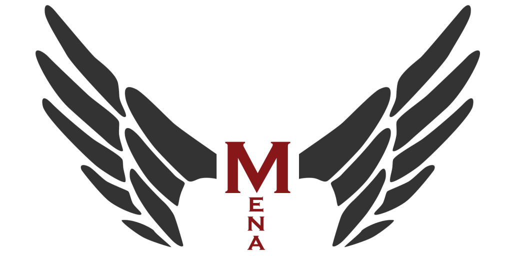 Mena Cyber Shield | MEVERTECH